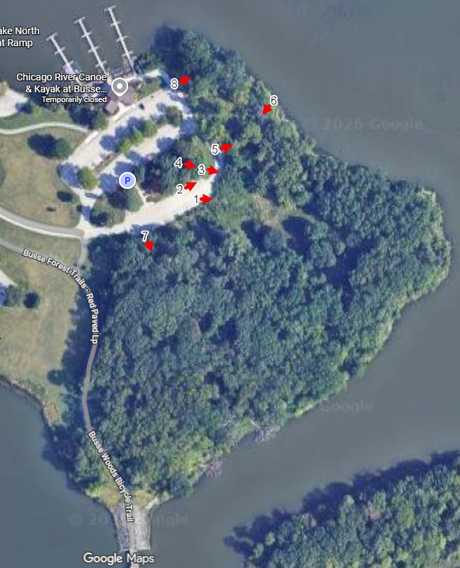 Busse Woods 1/10/2026 Failure of a Restoration Group – Stewardship ...